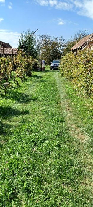 Casa Dileu Nou Targu Mures Ogra Sanpaul Chirileu Sausa Moreni Valea ...