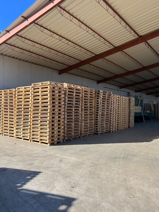 Paleti non euro 1200/800 10.000 buc preț 22 lei noi Suceava • OLX.ro