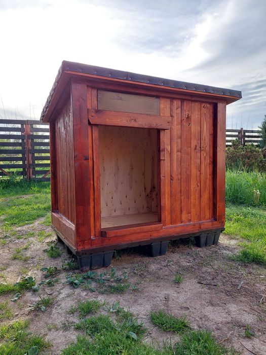 Cusca caine talie mare xxl Baia Mare • OLX.ro