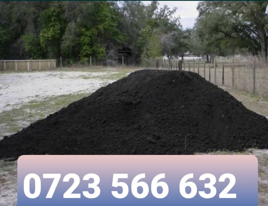 Nisip balast sort piatra concasata pământ gazon Dumbravita • OLX.ro