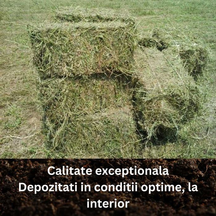 baloti lucerna de vanzare ' Anunturi ' OLX.ro