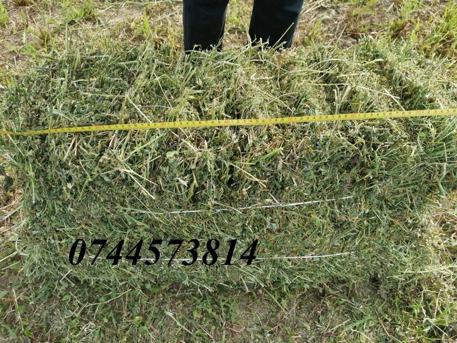 LIvram la comanda/Baloti Fan/Lucerna.Drepunghiulari sau rotunzi Poieni ...