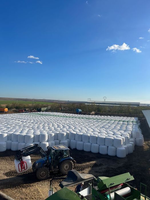 Vindem baloți siloz de porumb Piscu • OLX.ro