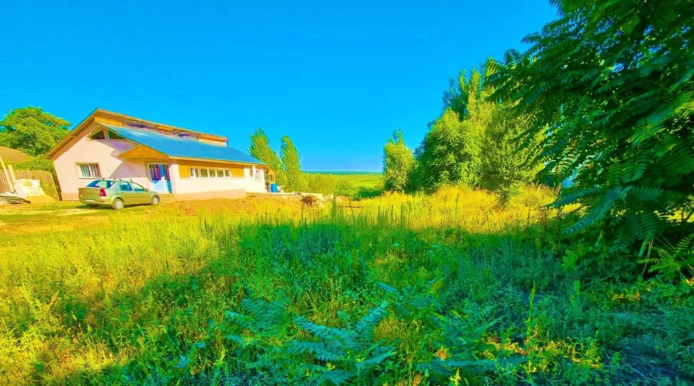 Casa Comana 2020, strada principala, acces in balta, gaze Comana • OLX.ro