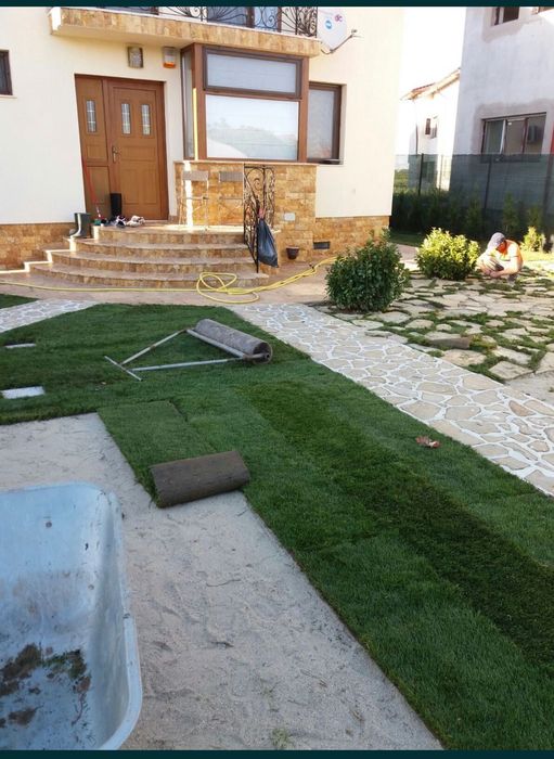 Gazon rulou sport calitatea extra Amenajez spatii verzi Tulcea • OLX.ro