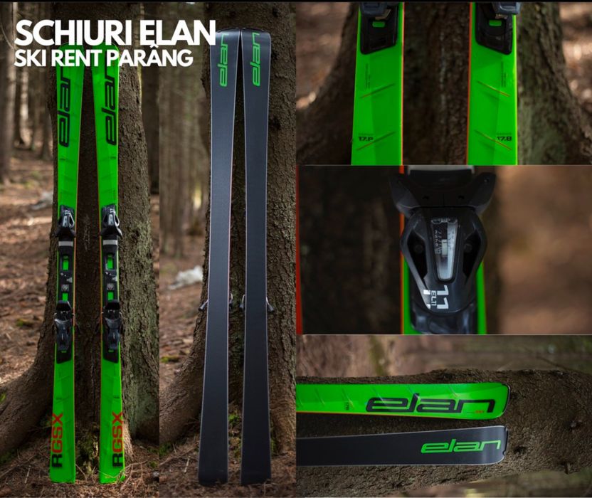 Schiuri Elan RGSX Fusion 176 Petrosani • OLX.ro