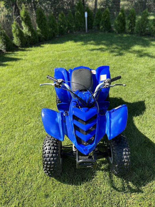 Yamaha Raptor 80 2 бр с. Ябълково • OLX.bg