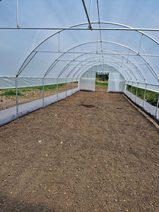 Solarii Legume (aerisiri laterale) Pancota • OLX.ro