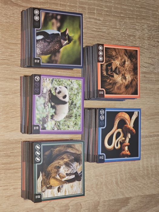 Cartonase Mega Image - Clubul Animalelor Salbatice 2022 Bucuresti ...