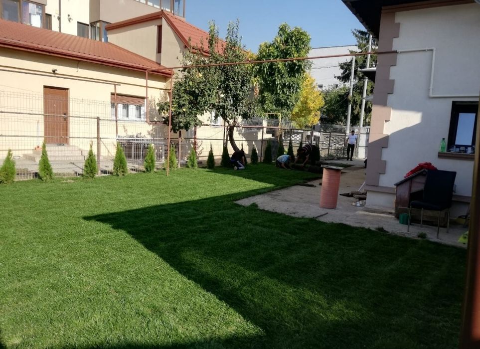 Gazon rulou sport/ tuia smaragd/ asiguram transport și montaj ...