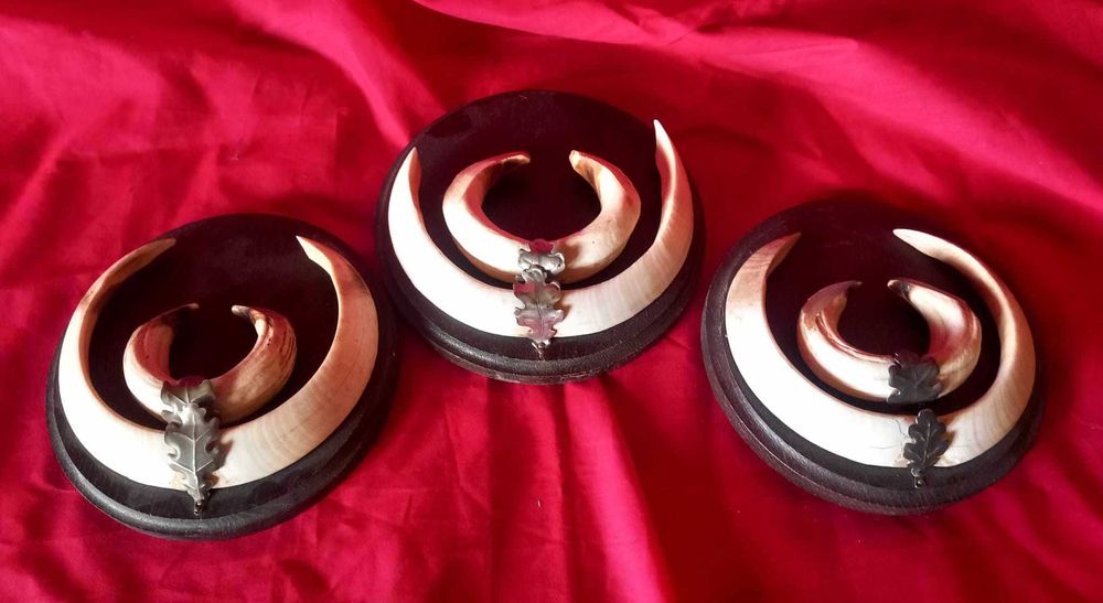 Trofeu/trofee/colti de mistret set frumos S4.1 Oradea • OLX.ro