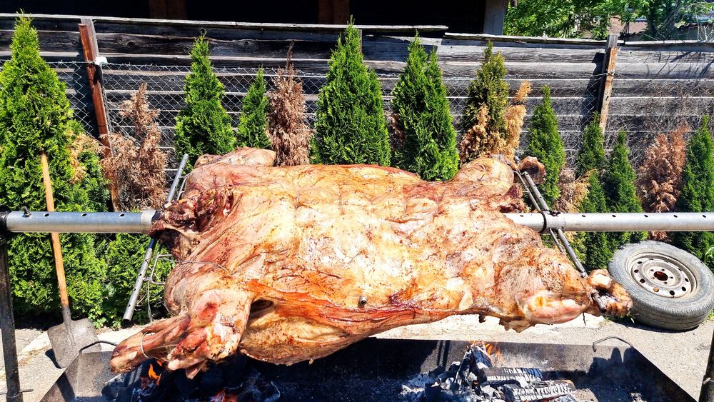 Protap rotisor porc vitel miel , nunti botezuri evenimente Constanta ...