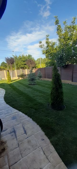 Gazon rulou, amenajare și întreținere spatii verzi!!! Botosani • OLX.ro