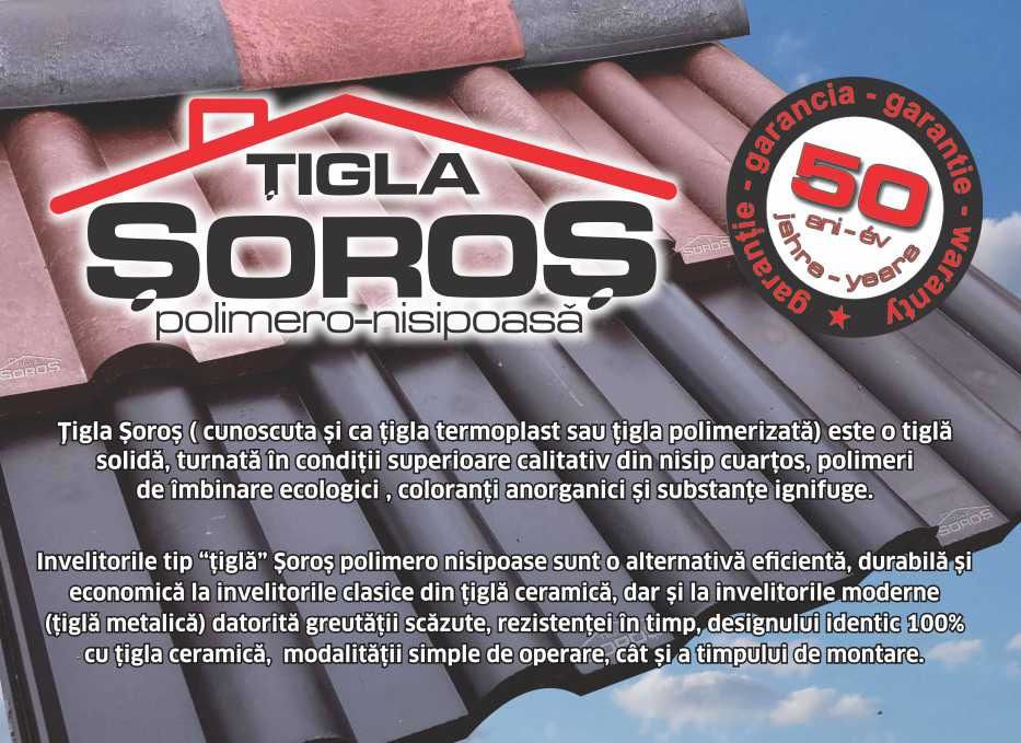 Tigla Plastic ecologica( polimero-nisipoasa ) Oradea • OLX.ro
