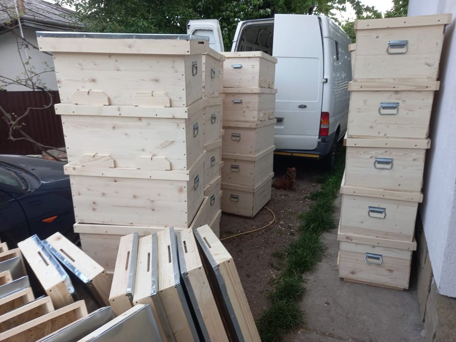 Stupi albine, stupi verticali, stupi orizontali, roinite! Botosani • OLX.ro