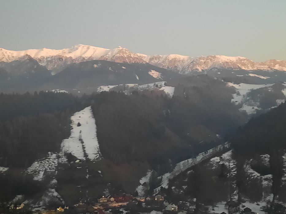 Cateva loturi teren superbe la munte la 5 km de Castelul Bran Predelut ...