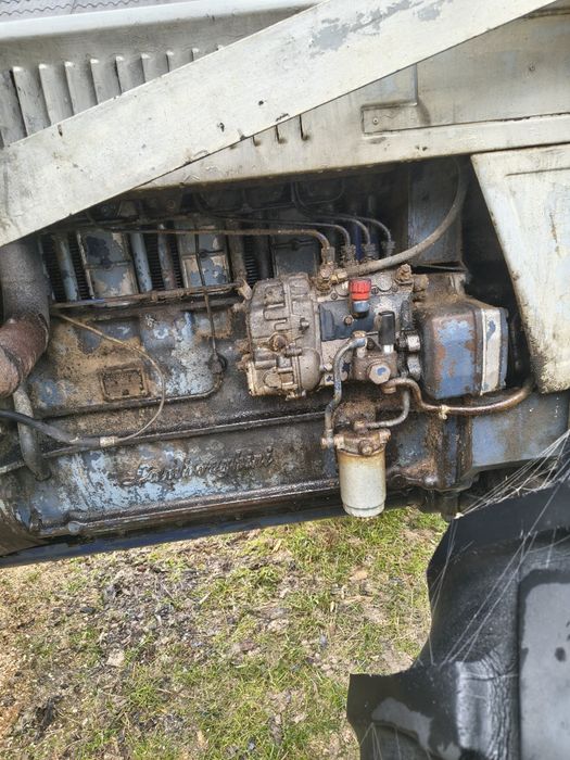 Lamborghini 704 DT cu încărcător frontal Baia Mare • OLX.ro