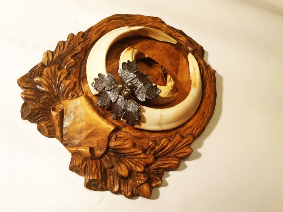 Trofeu cu colti de mistret pe panoplie sculptata ( coarne, lopatar ...