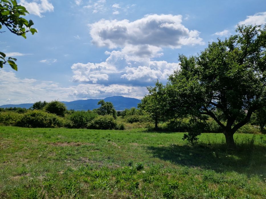 Teren extravilan, comuna Vulcan, zona livada Vulcan • OLX.ro