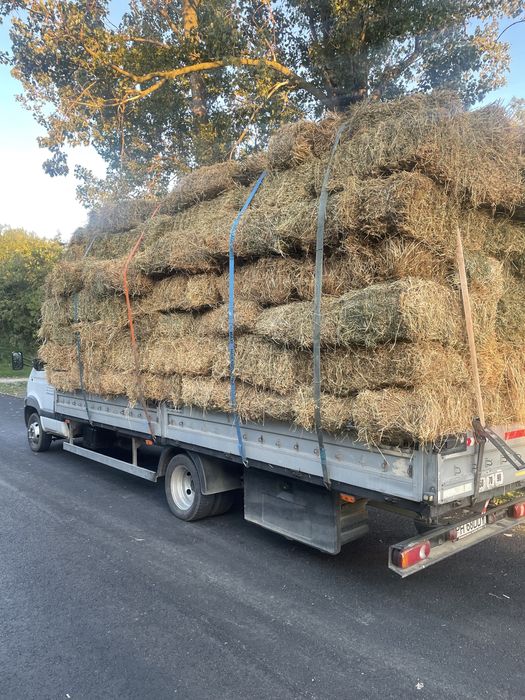 Baloti Lucerna coasa 3-4 Rosiori de Vede • OLX.ro