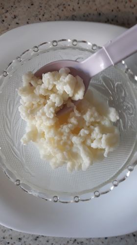 Ciuperca Chefir Lapte - OLX.ro