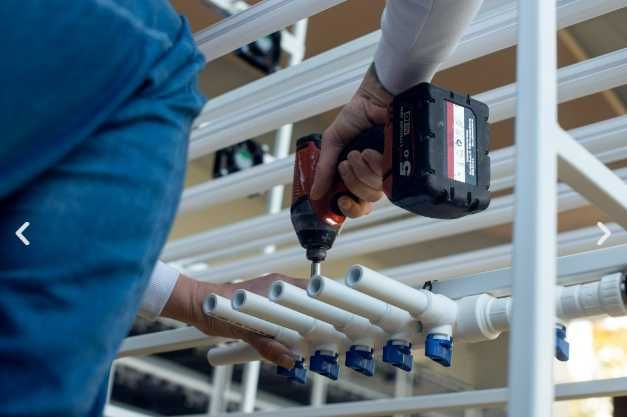 MicroSera MicroPlante Microgreens Adjud • OLX.ro