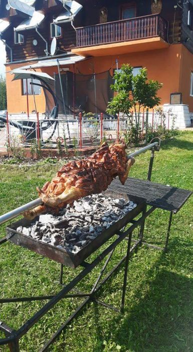 Protap rotisor electric 12/220V din inox nou purcei miei berbecut oaie ...