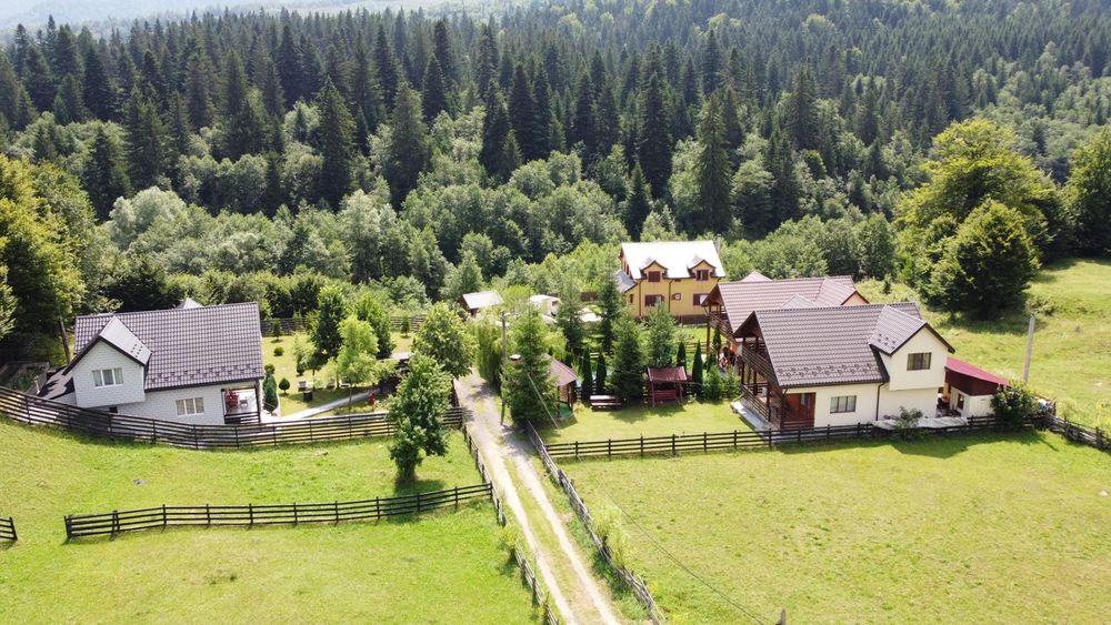 Vânzare vila Gresu Lepsa Gresu • OLX.ro