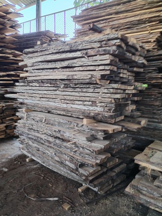 cherestea salcam de vanzare ' Anunturi ' OLX.ro