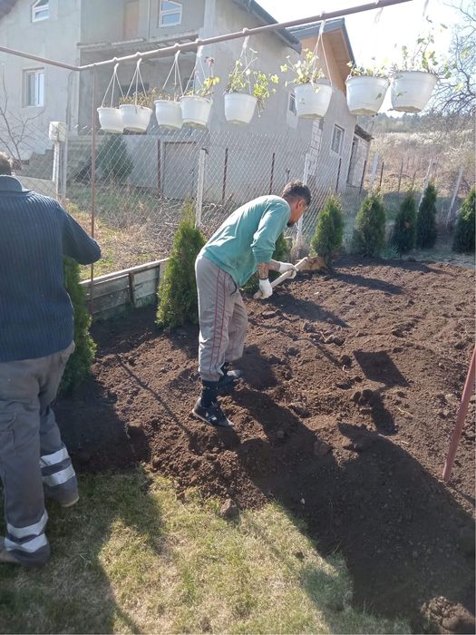 Amenajari Gradini ,curatare , dus gunoi etc Pamant Negru si Mranita ...