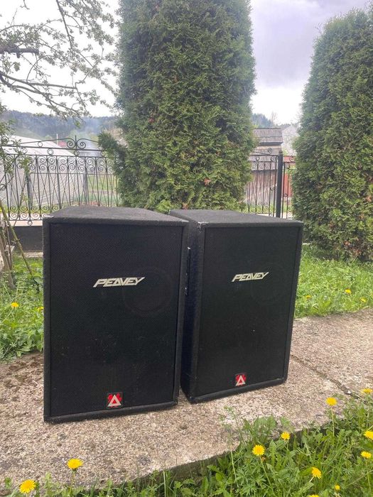Vand boxe Peavey Floresti • OLX.ro