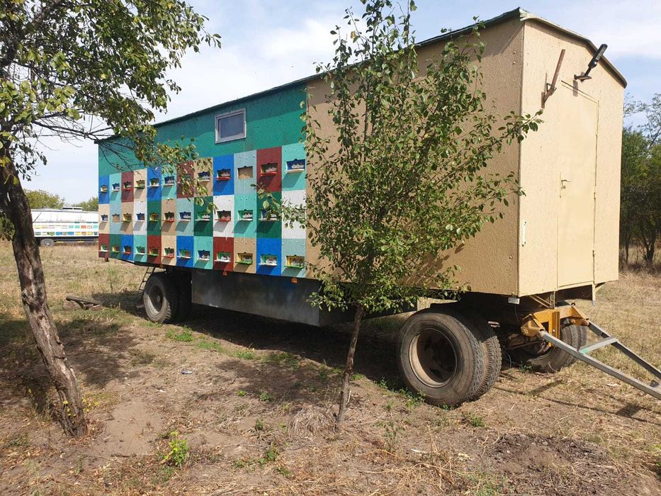 Pavilion apicol omologat Valea Postei • OLX.ro