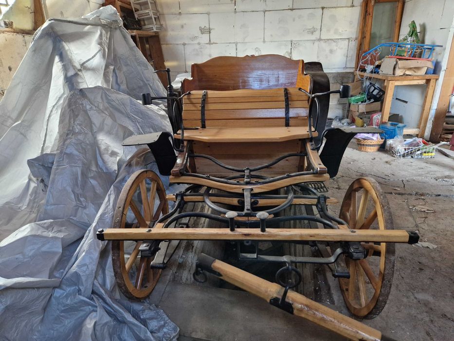 Trasura/caleasca ponei/cal Moldovita • OLX.ro