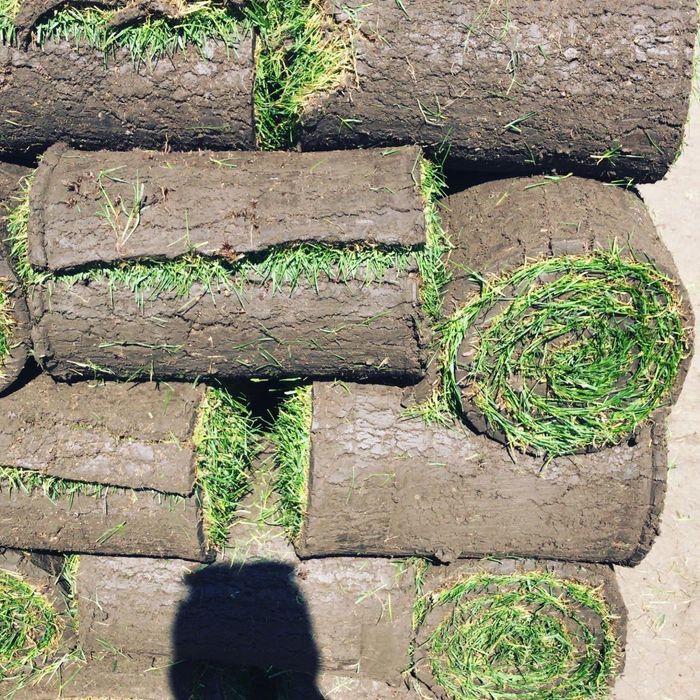 Livram rulouri de gazon la domiciliu, gazon rulouri, role de gazon ...