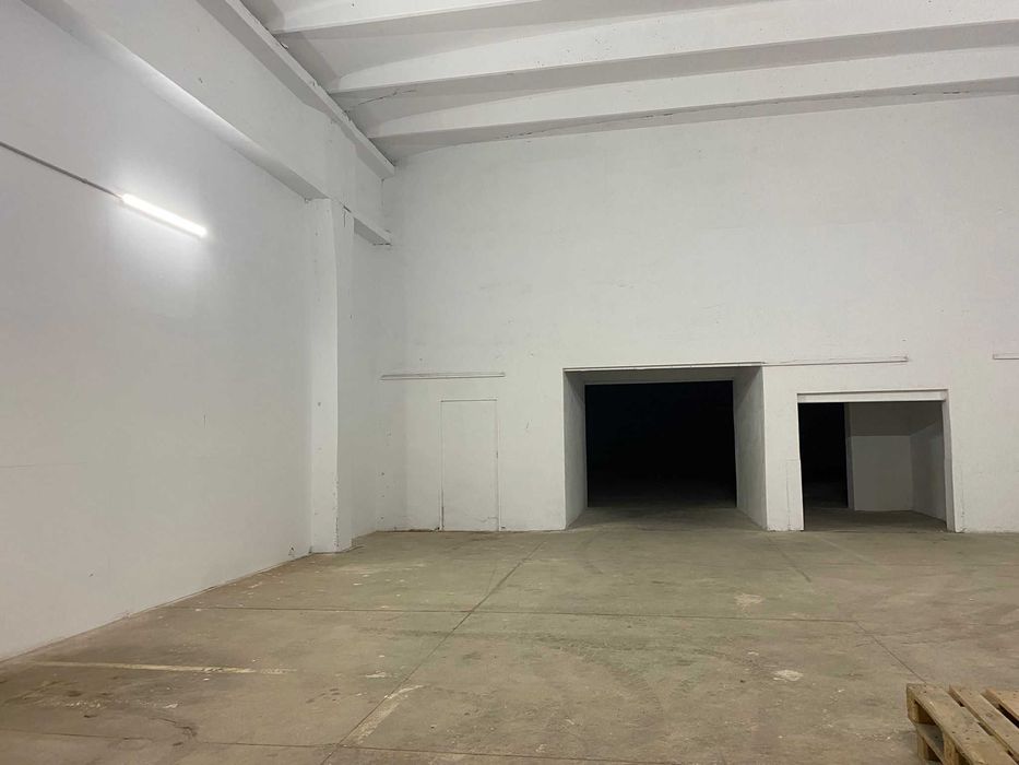 Hala , depozit 246-486 mp,Spatiu SAD, Calea Aradului Timisoara • OLX.ro