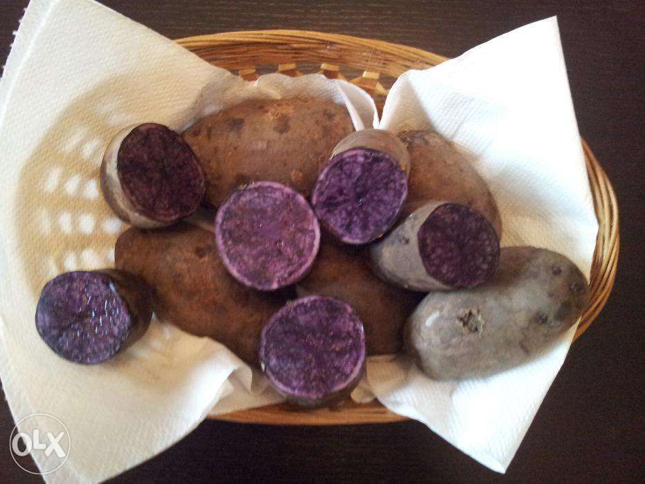 Vand cartofi mov-albastri, soiul Blue Congo, soi superior de cartofi ...