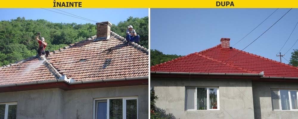 Vopsitor orice fel de tabla Buzau • OLX.ro