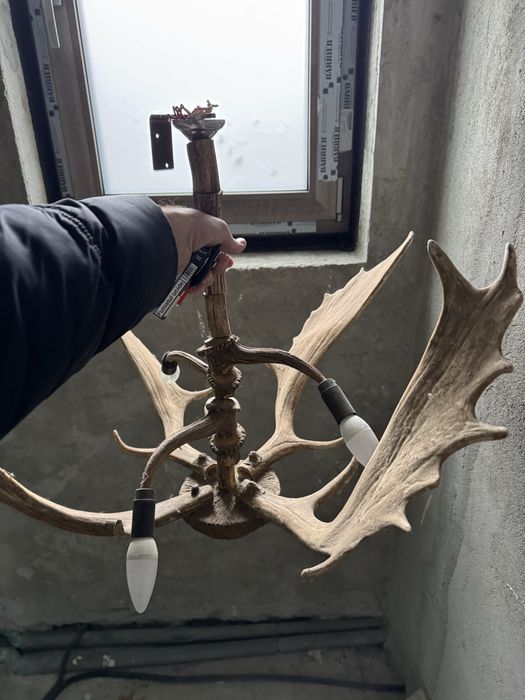 Trofeu / Candelabru Vanatoresc Coarne Cerb Craiova • OLX.ro