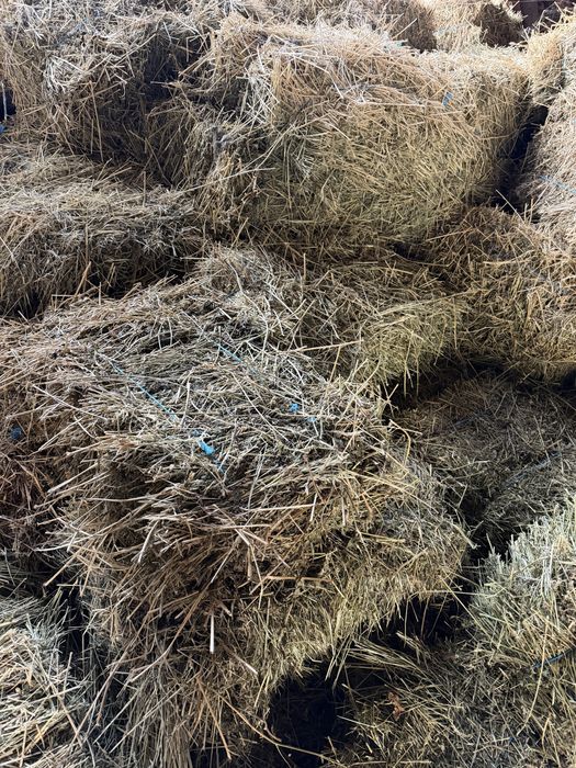 Baloti lucerna de calitate Lunca Calnicului • OLX.ro