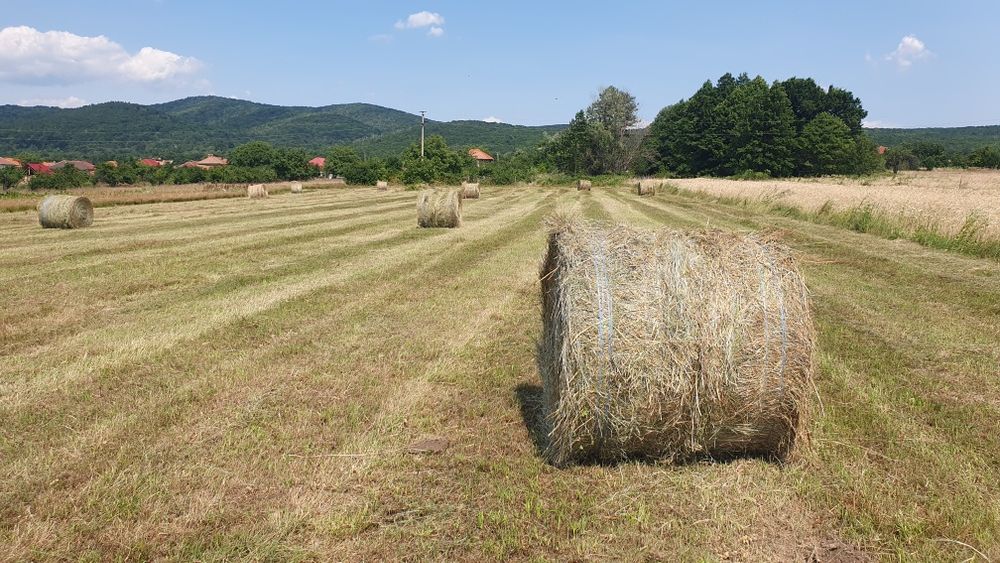 Baloti de fân Bumbesti-Jiu • OLX.ro