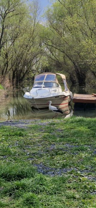 Barca QuickSilver 540 Cruiser, motor Mercury 115 CP Ploiesti • OLX.ro