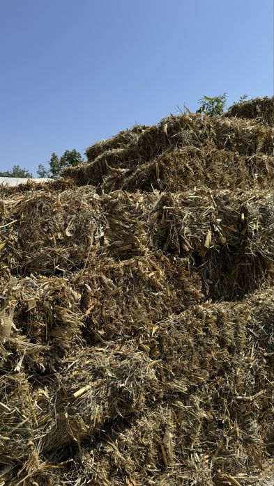 Baloti coceni cu fan amestec Finta Mare • OLX.ro