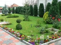 Amenajari gradini, toaletari arbori, arbusti, pomi fructiferi ...