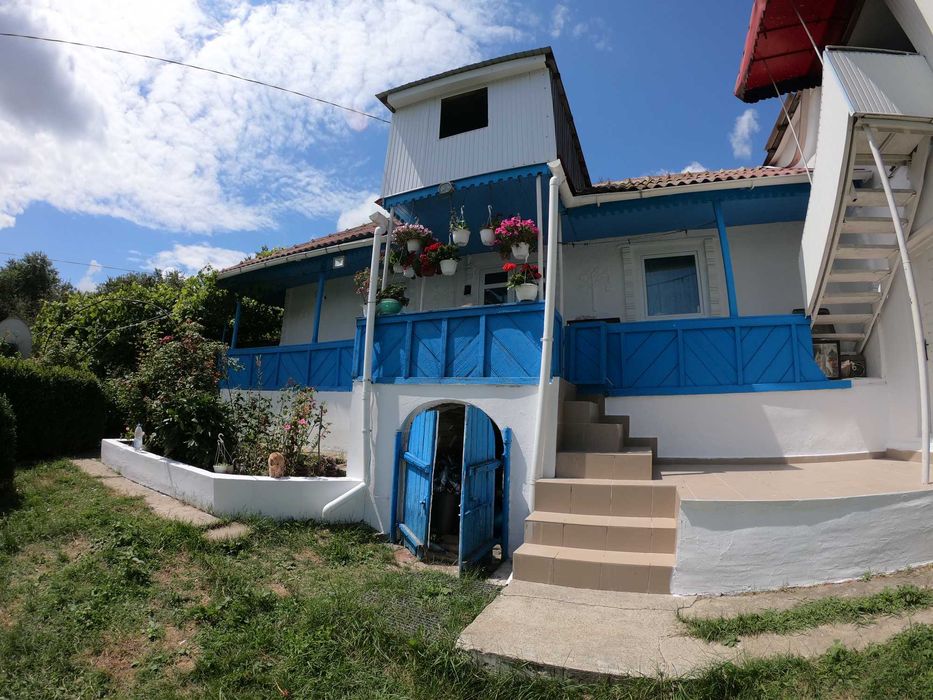 Proprietate unica langa Iasi (casa cu beci, livada,vie,iaz) Tacuta • OLX.ro