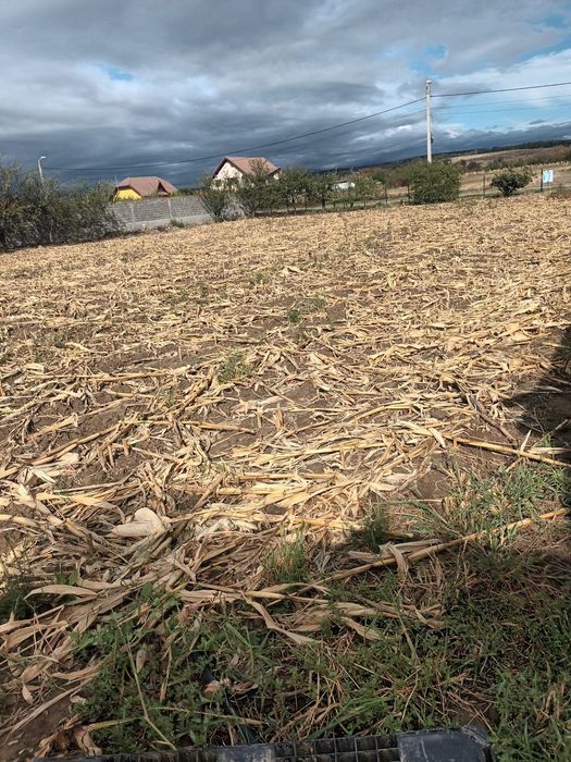 Teren cartier Preajba Preajba Mare • OLX.ro