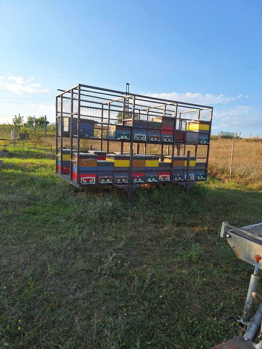 Modul Rastel Apicol Cluj-Napoca • OLX.ro