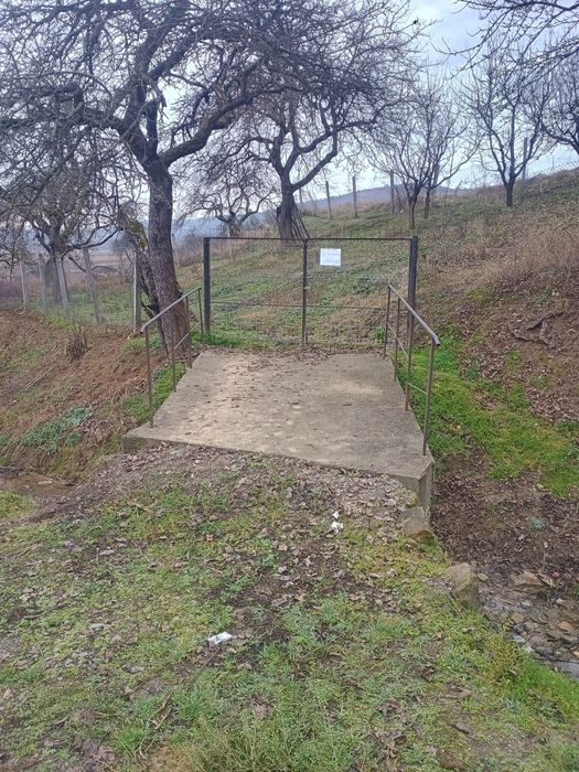 Vând livada împrejmuită pe rod Mititei • OLX.ro