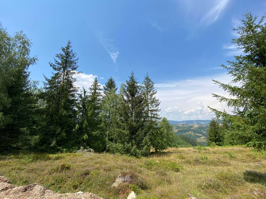 Teren intravilan muntii apuseni, jud Alba , Intre Ariesieni si Campani ...