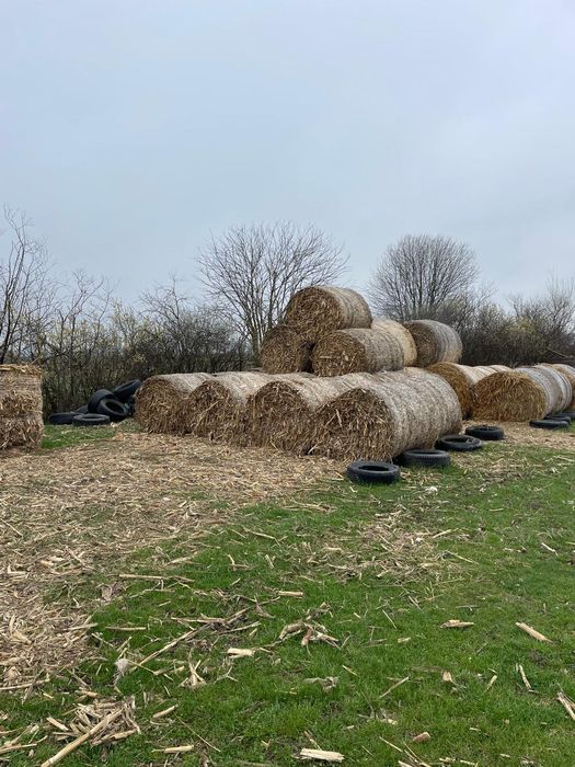 Vând baloti de paie și baloti de coceni de porumb Zagon • OLX.ro