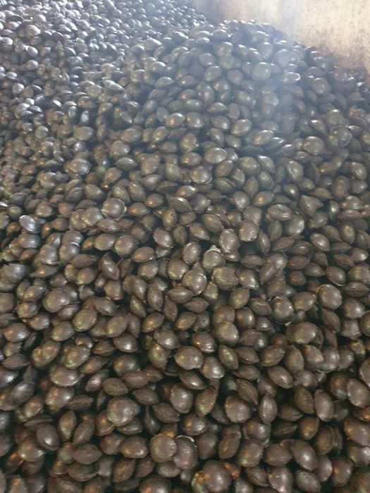 Brichete COCS + LIGNIT carbuni foc TRANSPORT Super Oferta!!! Bucuresti ...